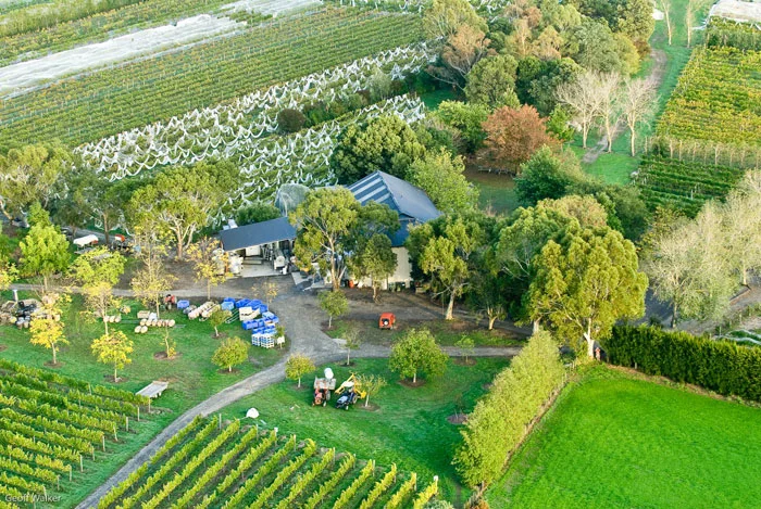 ATA RANGI – The Moomba Wine Shop